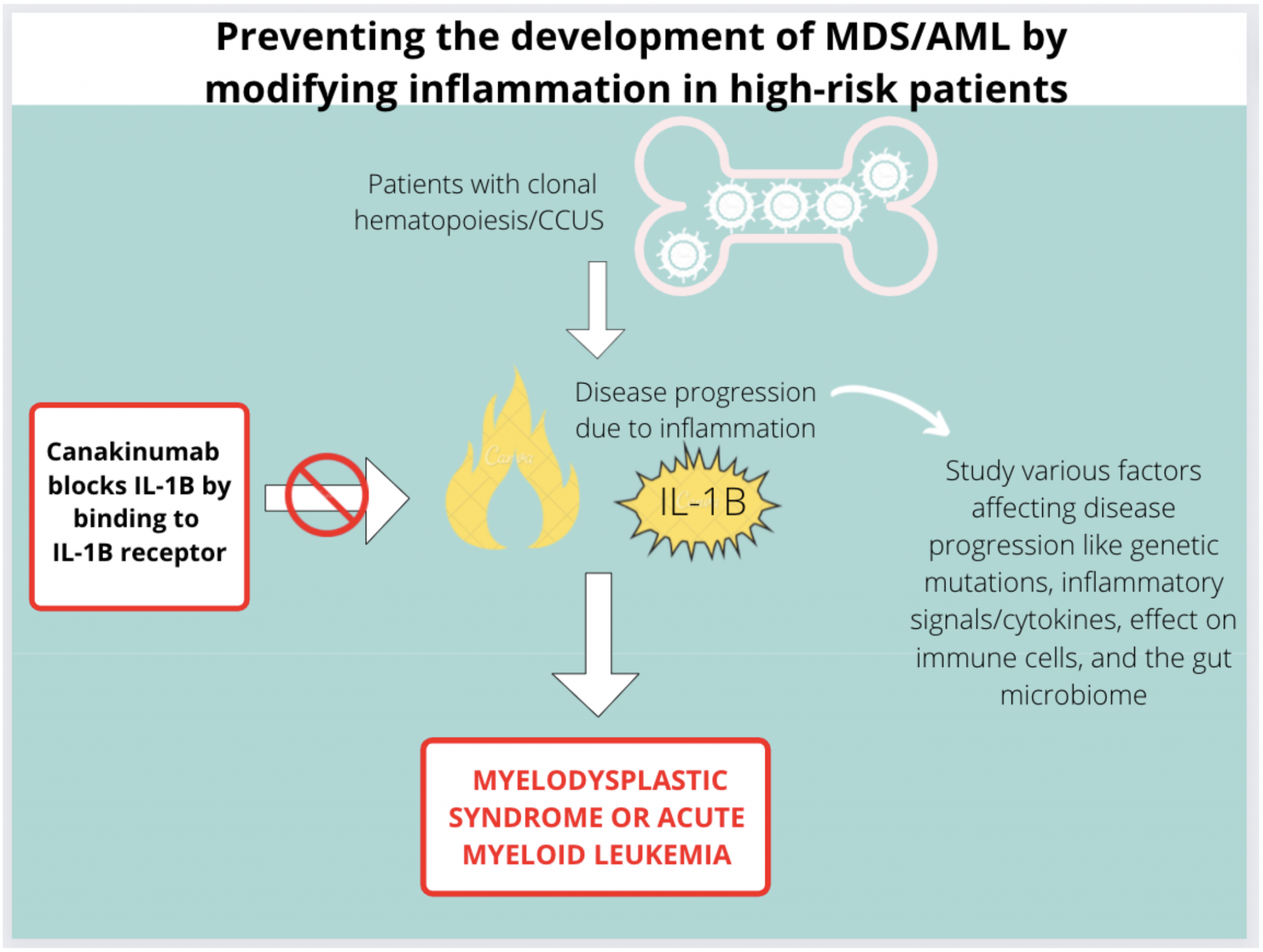 Borate, Uma, M.D., M.S. - EvansMDS