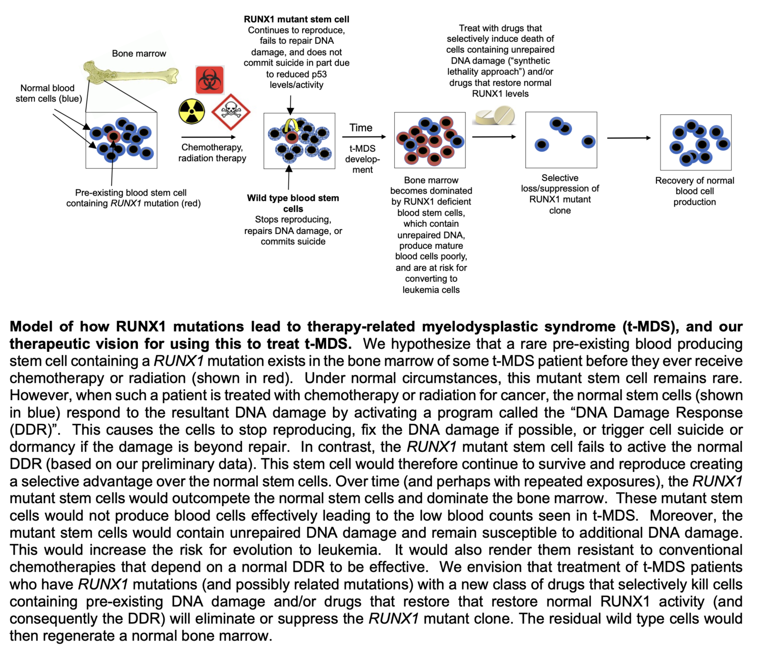 Cantor, Alan, M.D., Ph.D. - EvansMDS
