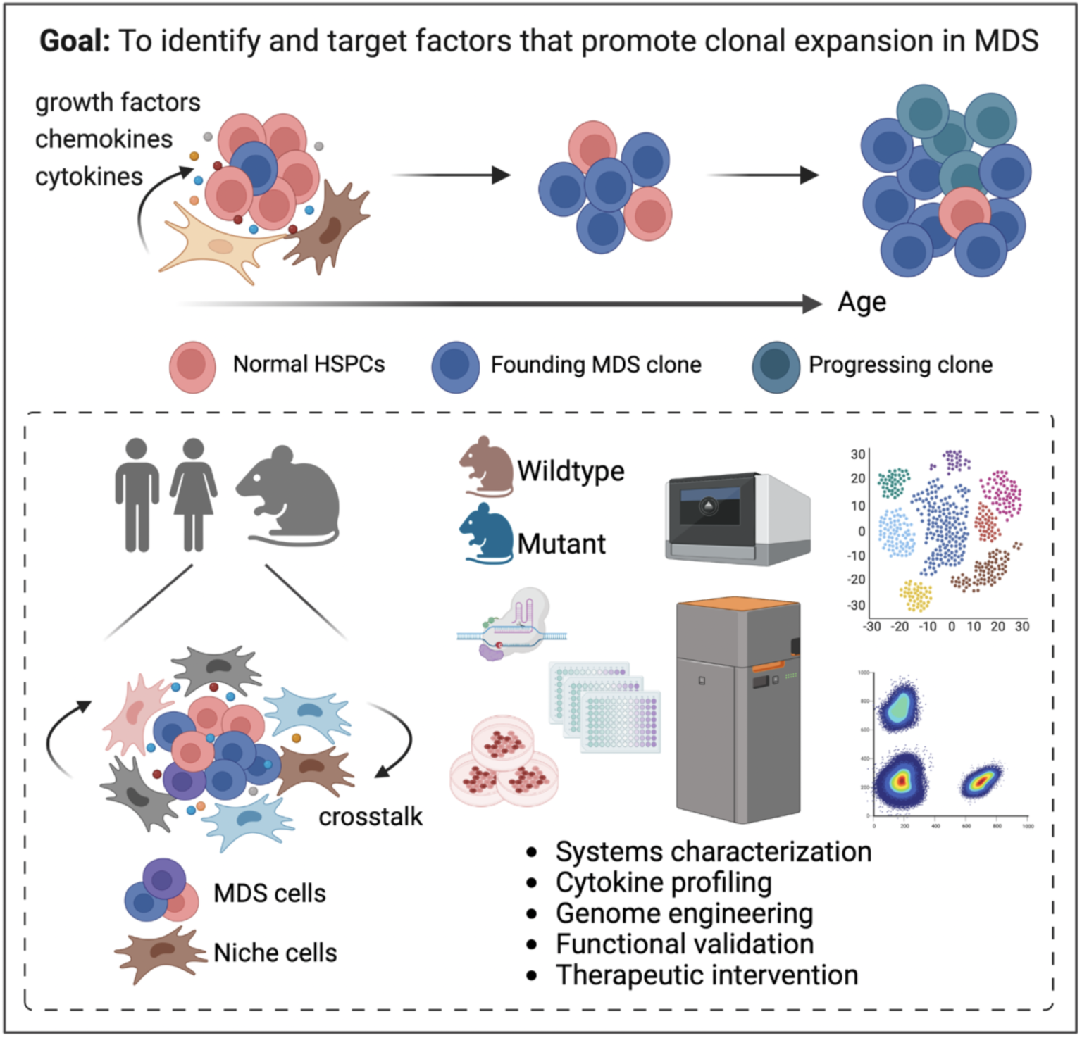 Lee, Stanley C., Ph.D. 2023 - EvansMDS